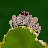 Spooder by IChooseViolence - Kandi Photos on Kandi Patterns
