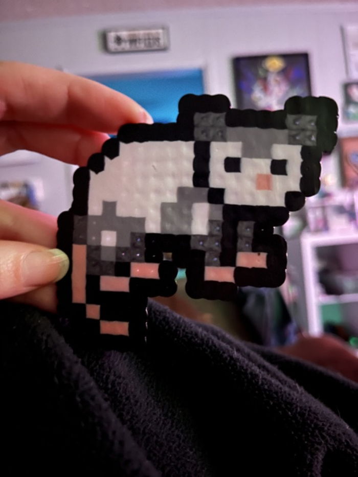 Opossum by nickipants - Kandi Photos on Kandi Patterns