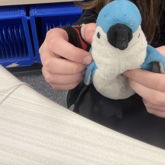 Rocket by X3n0th3s1llyb0t_XD - Kandi Photos on Kandi Patterns