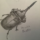 hercules beetle :3 by mannequinese - Kandi Photos on Kandi Patterns