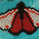 Cinnabar Moth by _kandipup777_ - Kandi Photos on Kandi Patterns