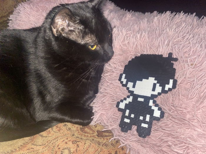 Omori and my cat :-) by ca2pian - Kandi Photos on Kandi Patterns